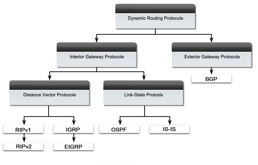 Image - Dynamic routing protocols.png - Network Infrastructure Wiki Image - Dynamic routing protocols.png - Network Infrastructure Wiki