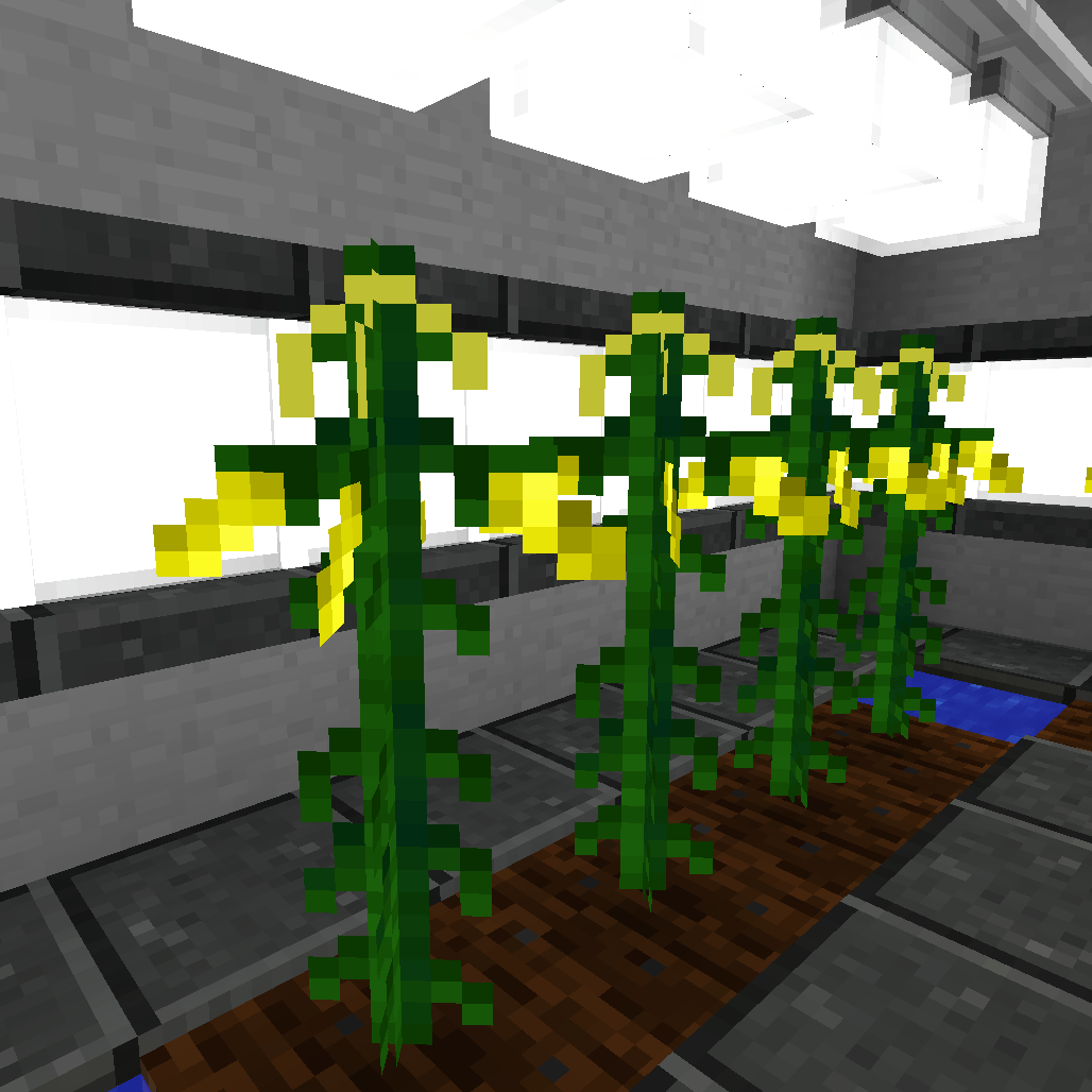 Corn Texture Resource Pack Help Resource Packs Mapping And Modding Java Edition