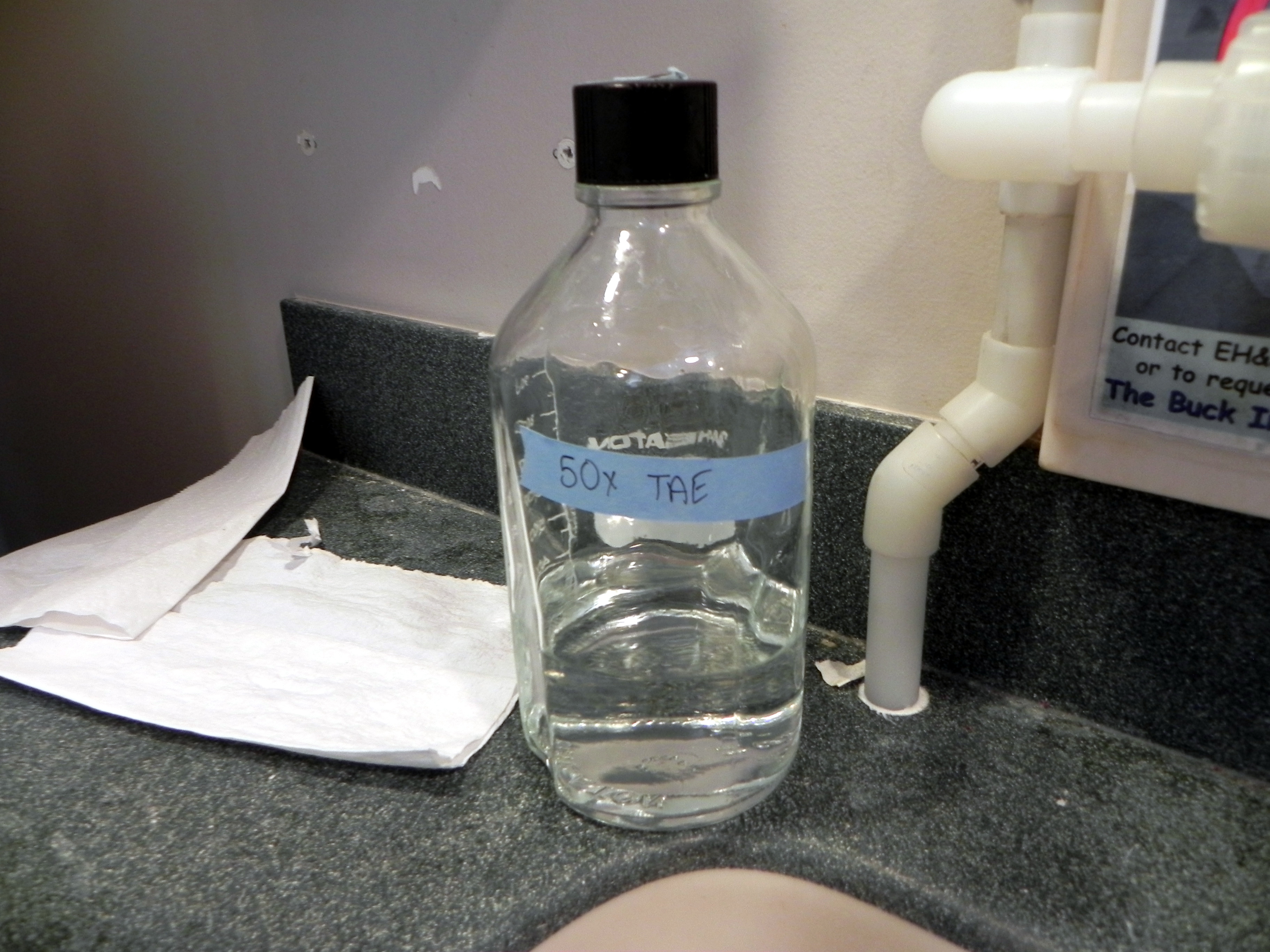 Tris-buffer, Acetic Acid, EDTA (50X TAE 1 liter) - Get Your Science On Wiki Tris-buffer, Acetic Acid, EDTA (50X TAE 1 liter) - Get Your Science On Wiki