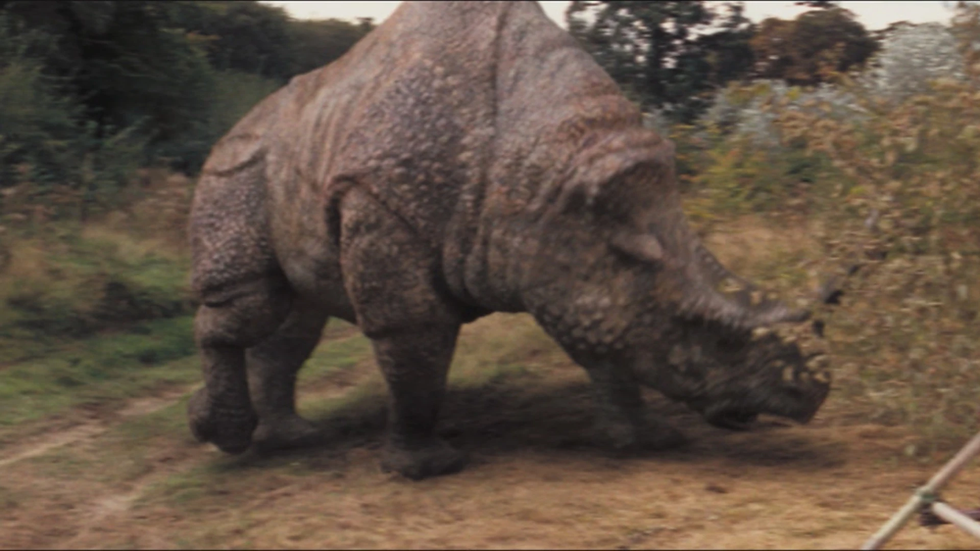 Image 5x2 Liopleurodon 14jpg Anomaly Research Centre