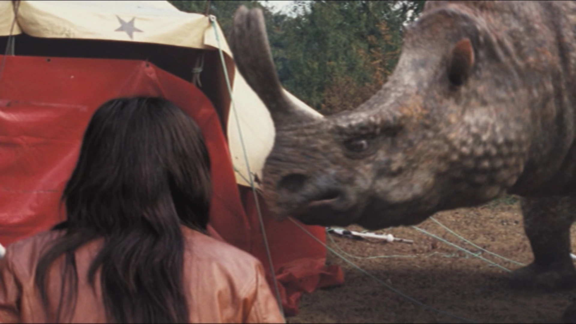 Image 5x2 Liopleurodon 14jpg Anomaly Research Centre