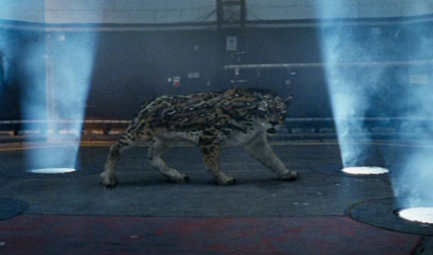 Image - Smilodon.jpg - Anomaly Research Centre Image - Smilodon.jpg - Anomaly Research Centre
