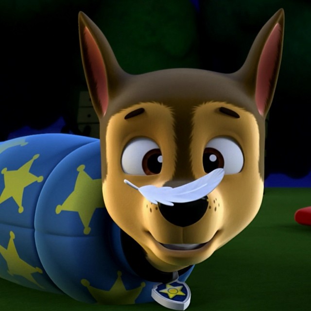Pups in a Fog/References - PAW Patrol Wiki Pups in a Fog/References - PAW Patrol Wiki