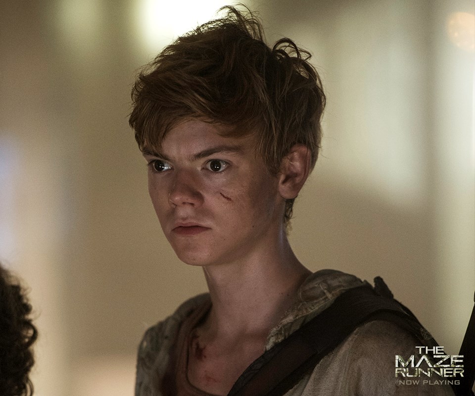 Fichier:Newt 3.jpg - Wiki L'Epreuve - Wikia Fichier:Newt 3.jpg - Wiki L'Epreuve - Wikia