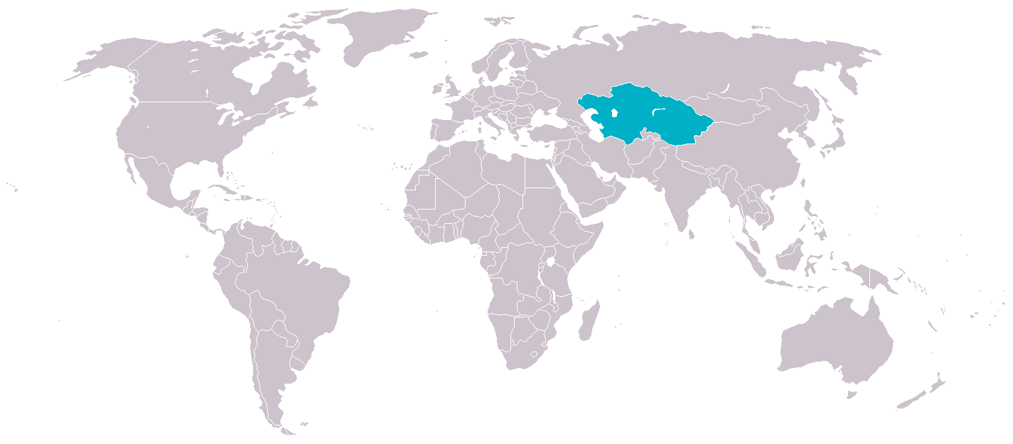 Turkestan (Chinese Meiji) - Alternative History