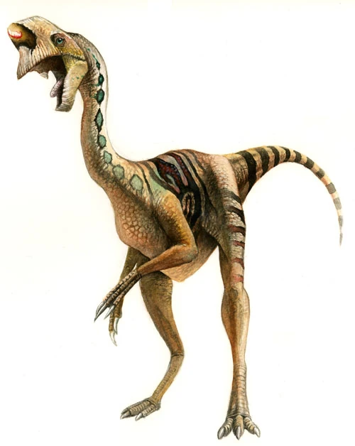 Oviraptor - Dinopedia - the free dinosaur encyclopedia