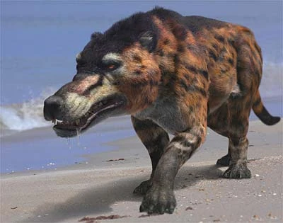 Andrewsarchus - Walking With Wikis - the free Walking with... encyclopedia