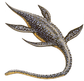 Elasmosaur - Dinopedia - the free dinosaur encyclopedia