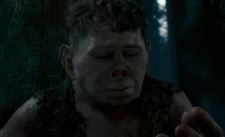 GC599HC The Forbidden Forest (Unknown Cache) in Île-de-France, France ...