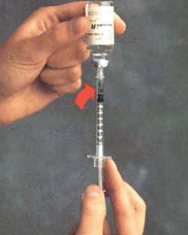 Drawing insulin - Canine Diabetes Wiki