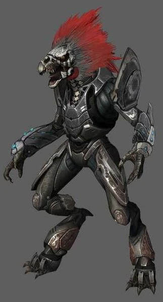 Image - Jackal kig-yar.jpg - Halo Fanon - The Halo Fan Fiction Wiki