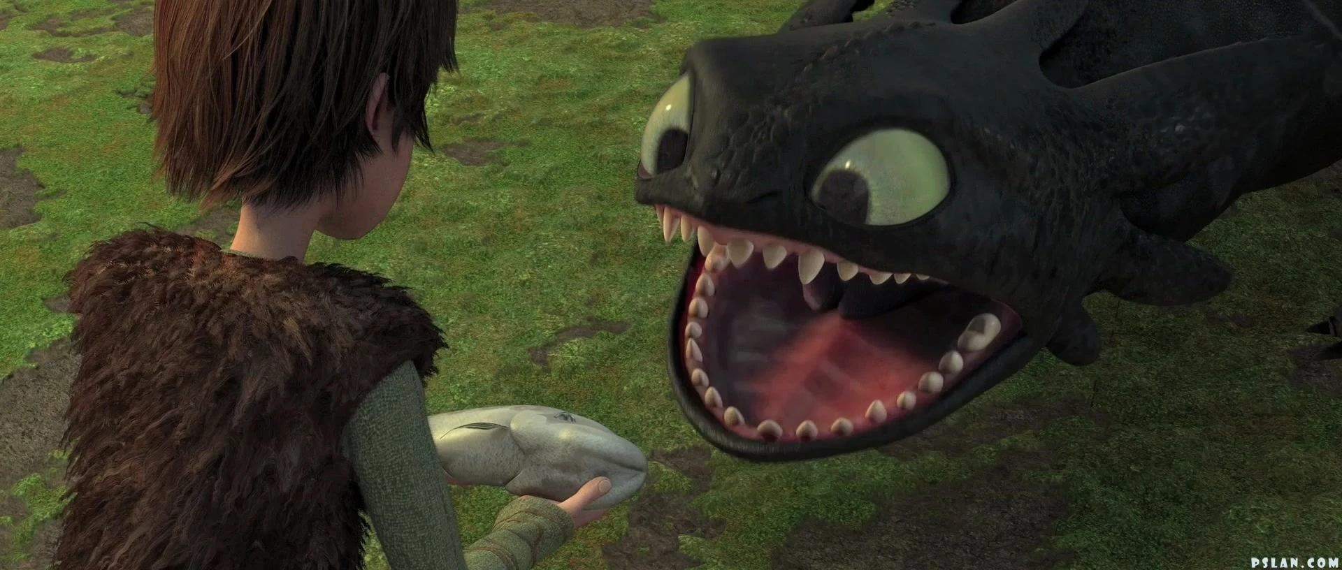 Toothless (How To Train Your Dragon) - McCarten Comics Wiki