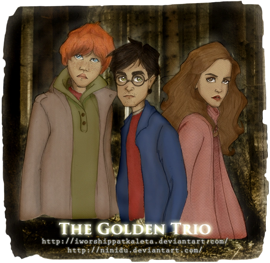 Image - Golden Trio Deathly Hallows.png - Harry Potter Wiki