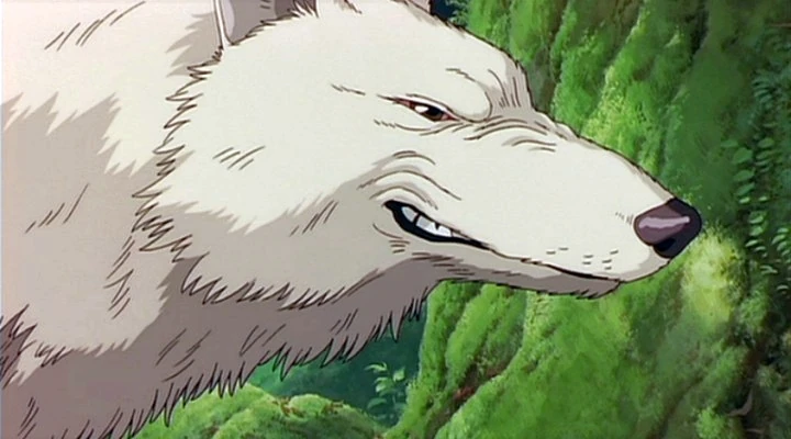 Princess Mononoke Moro