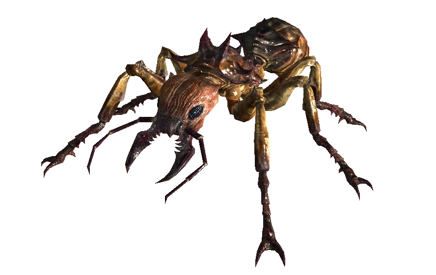 Giant Ant - Non-alien Creatures Wiki