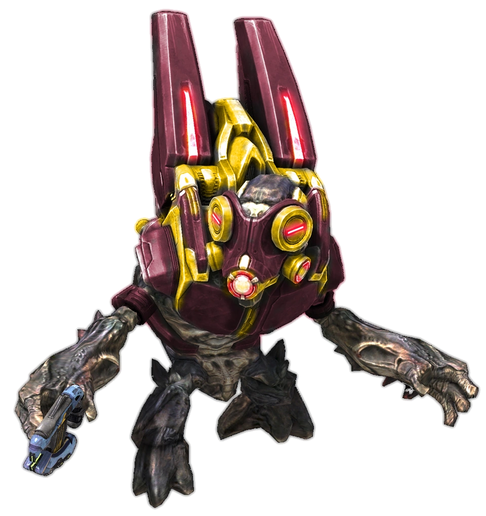 Unggoy - Halo Fanon Wiki