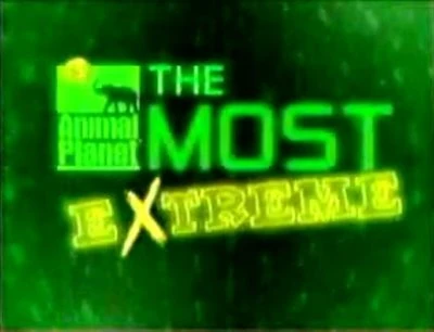 Animal Planet's The Most Extreme Wiki