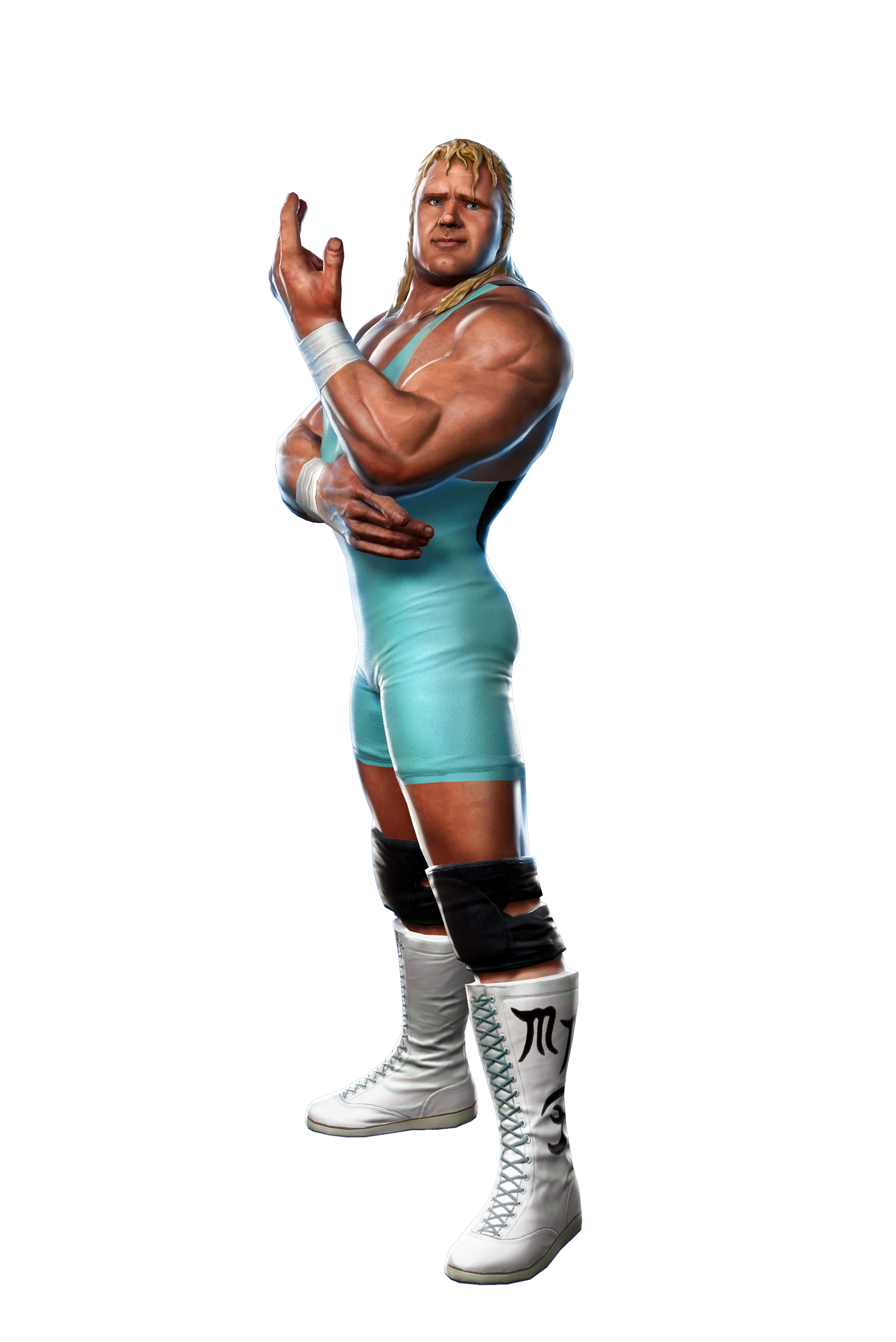 Mr Perfect T Shirt Wwe