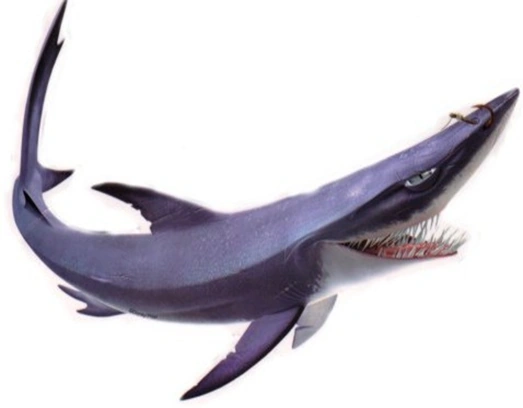 Chum Finding Nemo