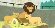 Zoologico de Bootsville | Kid vs Kat Wiki | Fandom