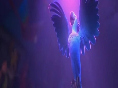 Image - Pretty bird.jpg - Rio Wiki