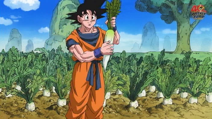 Radish - Dragon Ball Wiki
