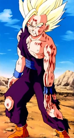 Gohan - Dragonballrelated Wiki