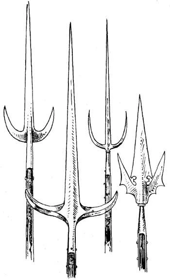 Pole arm - The Forgotten Realms Wiki - Books, races, classes, and more