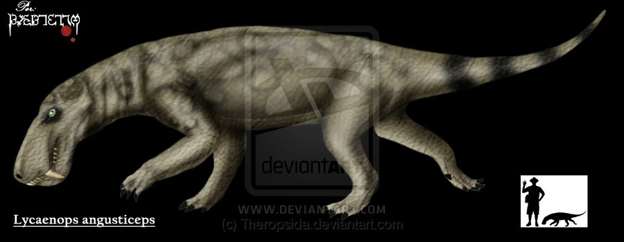 Image - Lycaenops angusticeps.jpg - Dinopedia - the free dinosaur ...