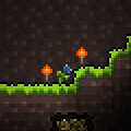 Nature's Gift - Terraria Wiki