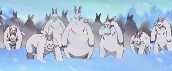 Giant Killer Bunny Rabit or A Giant Killer Poodle | IGN Boards