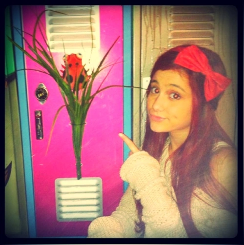 Image - Cat's Locker.png - Victorious Wiki - Wikia