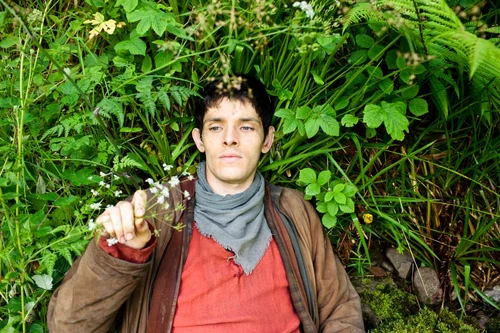 Image - Merlin flowers.jpg - Merlin Wiki - BBC TV Series