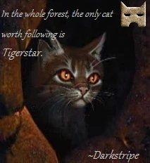 Tigerstar Quotes