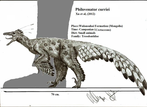 Oviraptor Dinopedia The Free Dinosaur Encyclopedia Wikia