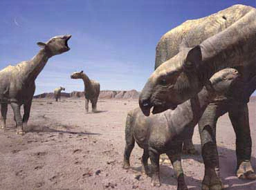 Indricotherium - Wiki Dino