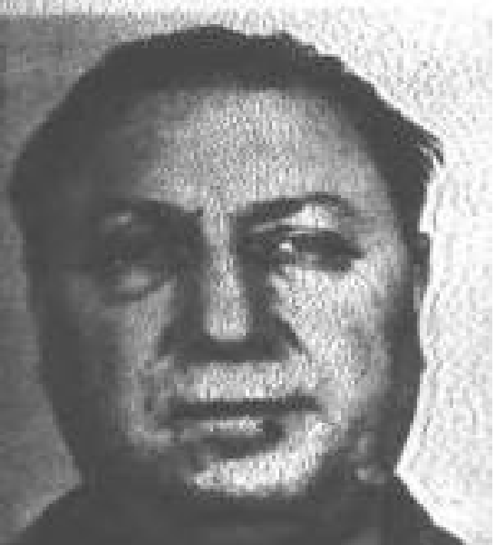 Peter Casella - The Godfather Video Game Wiki