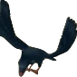 Fire Emblem Raven Sprite