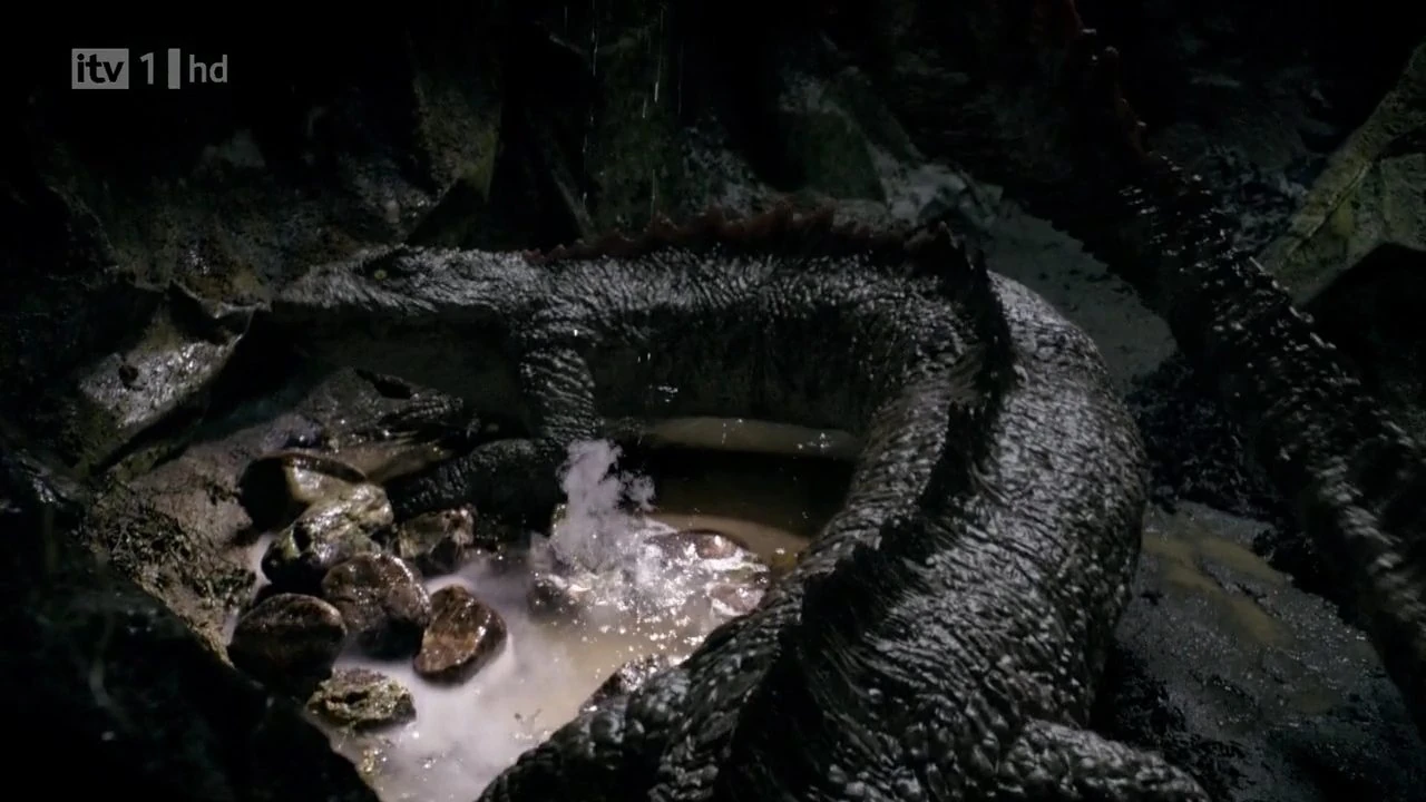 Image - 4x5juvenileLabyrinthodont.jpg - Anomaly Research Centre