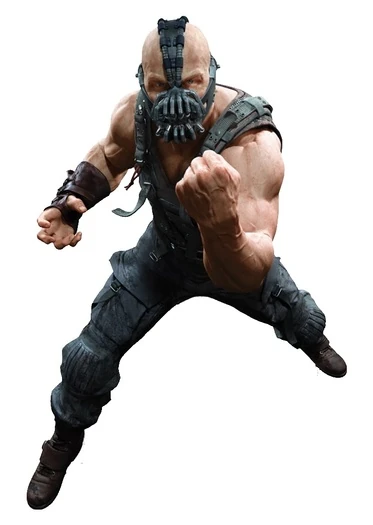 Bane’s Cardiovascular System | Anatomy and Physiology of Bane