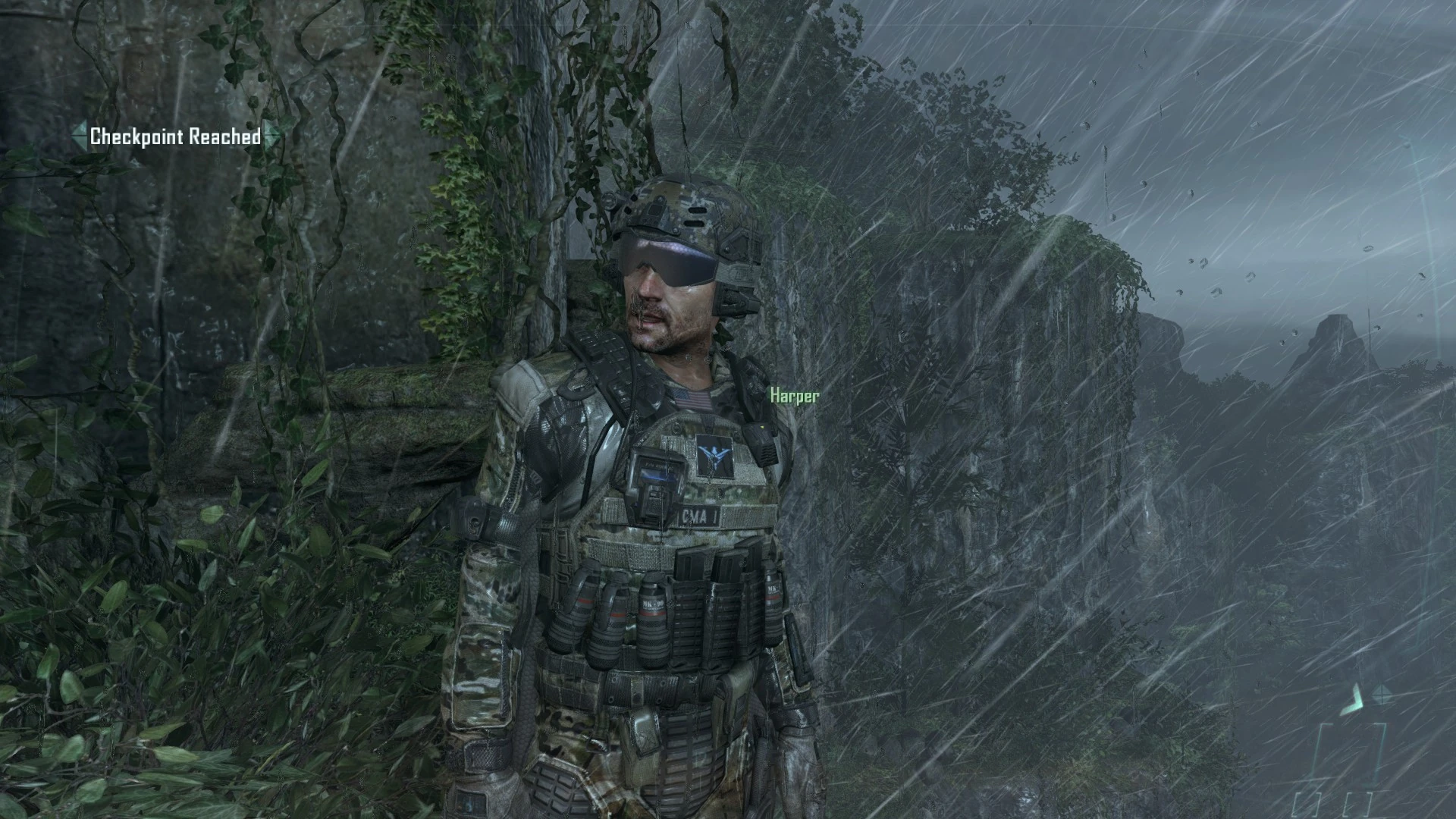 Call Of Duty Black Ops 2 Kill Harper Or Not at Gladys Roy blog