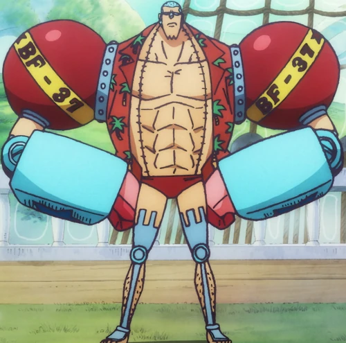 Franky - One Piece Encyclopedia - Wikia