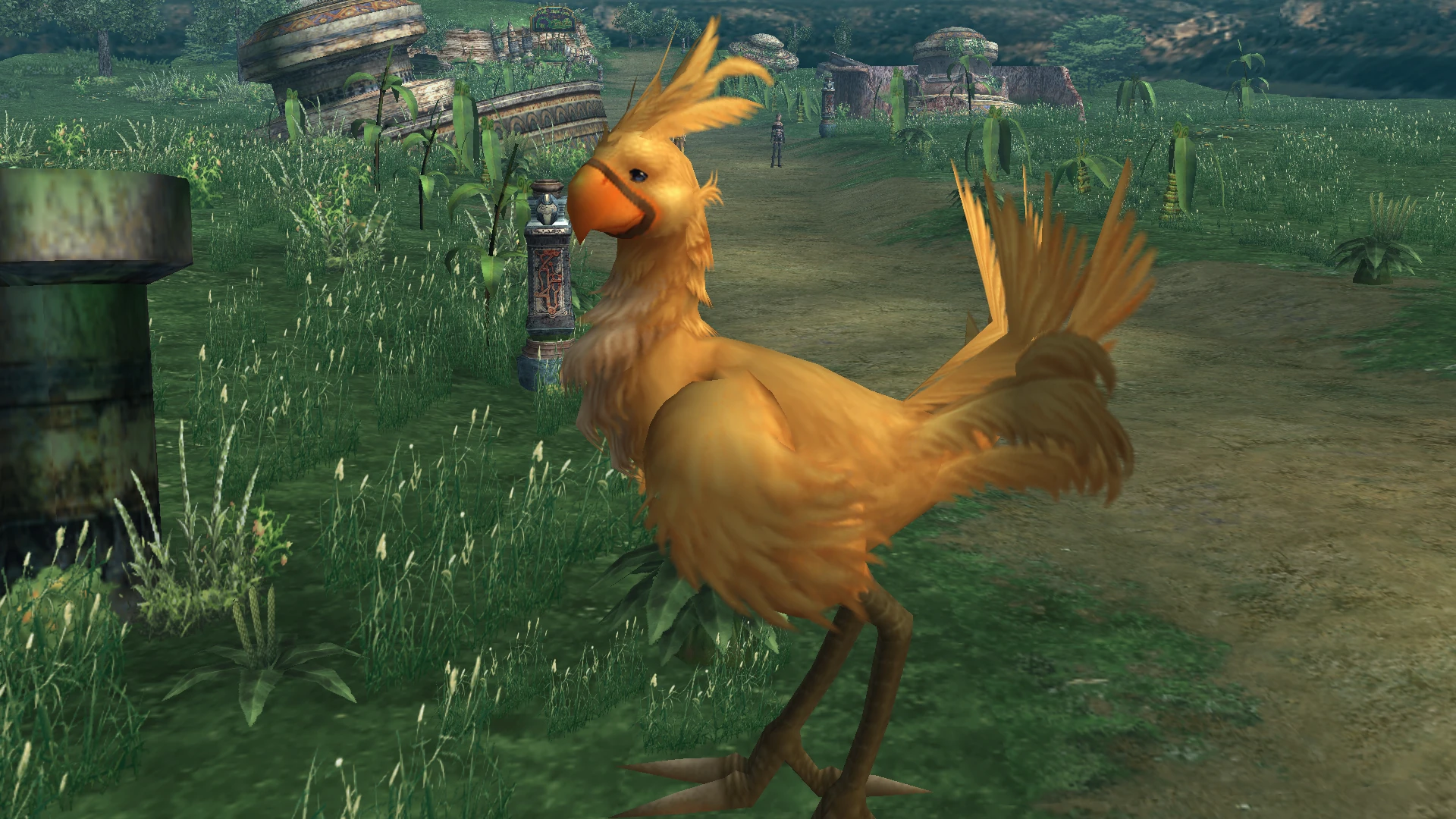 Image - FFX Chocobo.jpg - The Final Fantasy Wiki - 10 years of having ...