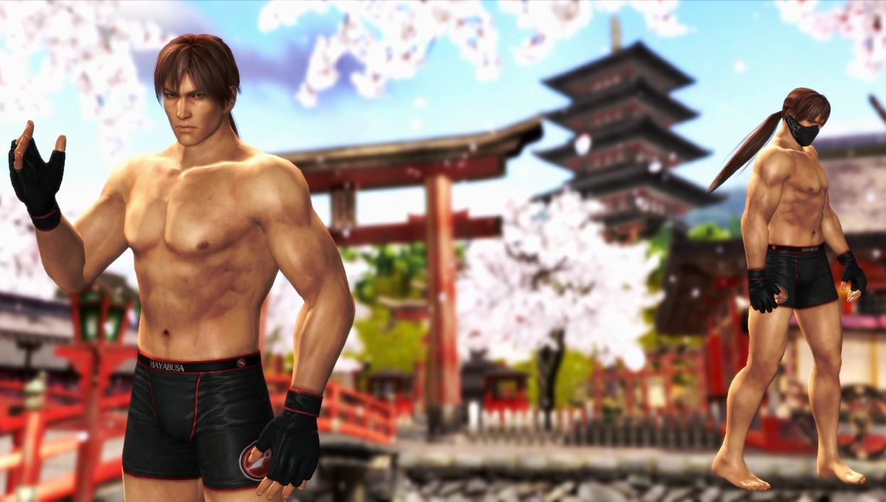 Image - DOA5 Ryu Hayabusa Fighter Pack DLC.png - The Dead or Alive Wiki ...