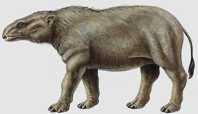 Phosphatherium - Dinopedia - the free dinosaur encyclopedia