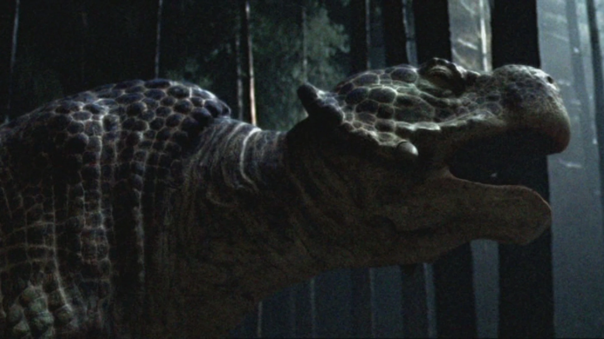 Image - 1x1 Scutosaurus 13.jpg - Anomaly Research Centre