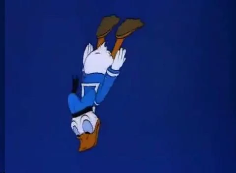 Image - Donald Duck Wide Open Spaces.jpg - DisneyWiki