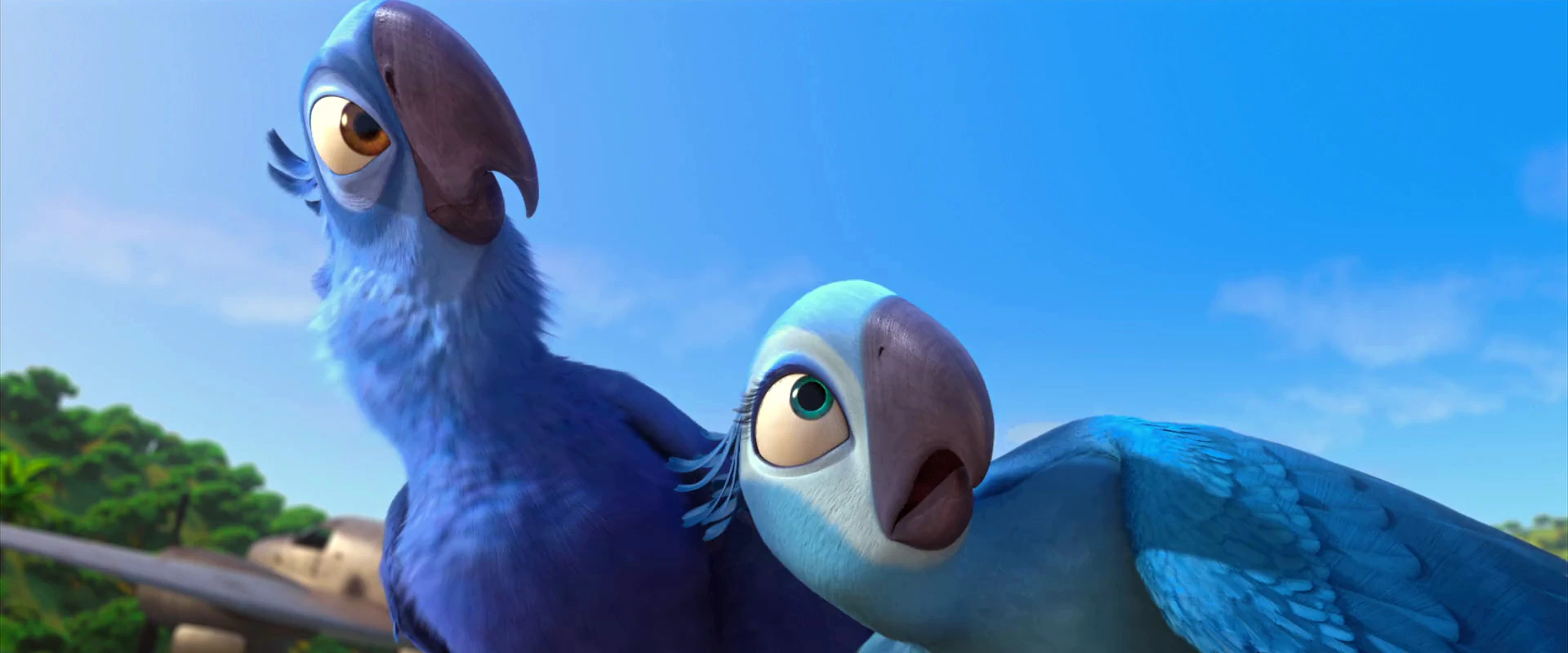 Image - Blu and Jewel ca.jpg - Rio Wiki