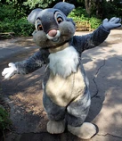 Tambor (Bambi) - Disney Wiki