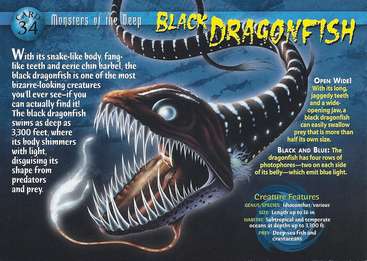 Black Dragonfish - Wierd N'wild Creatures Wiki